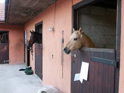 Stables